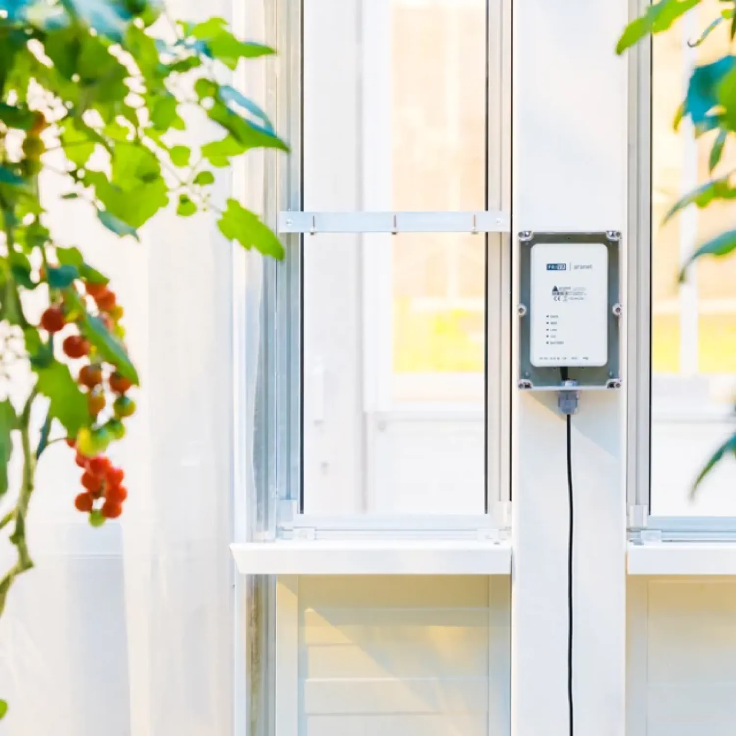 PRIVA-ARANET SOLUTIONS