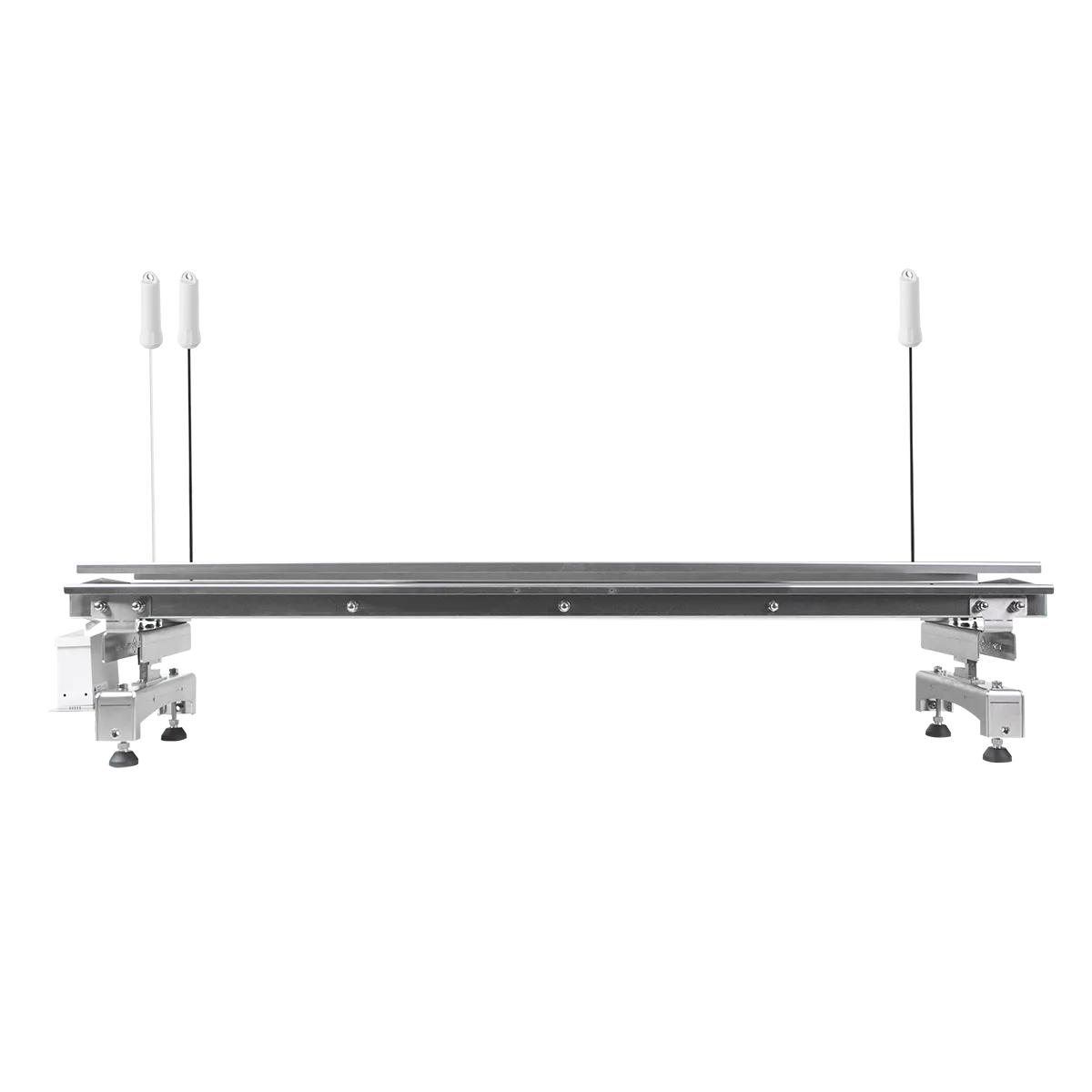 Aranet Slab Weight sensor
