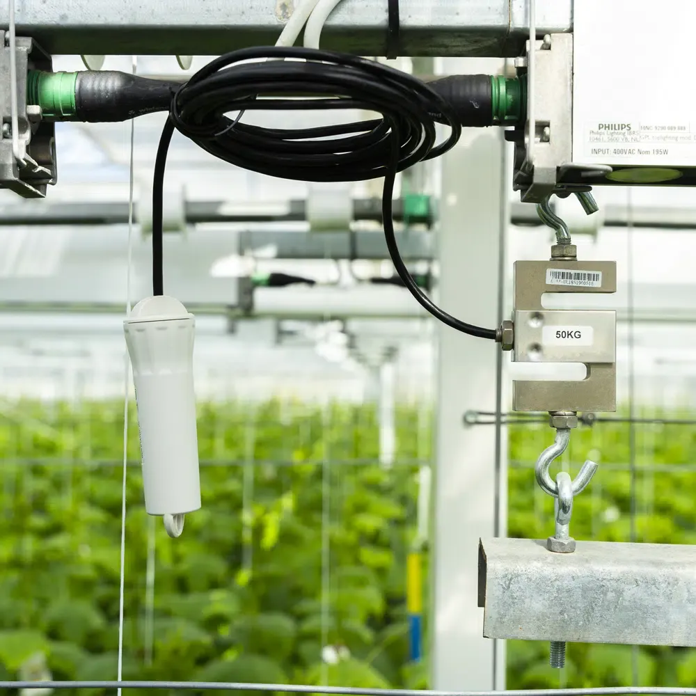 Weight sensor - plant growth monitoring solution | Aranet